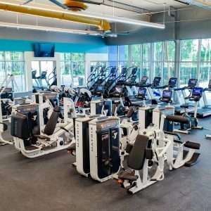 YMCA Memberships | YMCA OF SOUTH FLORIDA